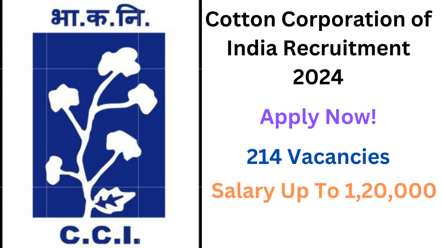 Cotton Corporation of India Recruitment 2024, Apply Now, Check Vacancy ...
